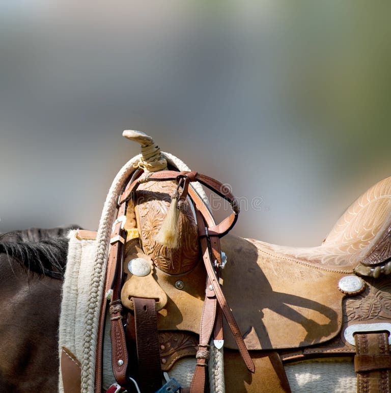 10,823 Western Saddle Stock Photos - Free & Royalty-Free Stock Photos ...