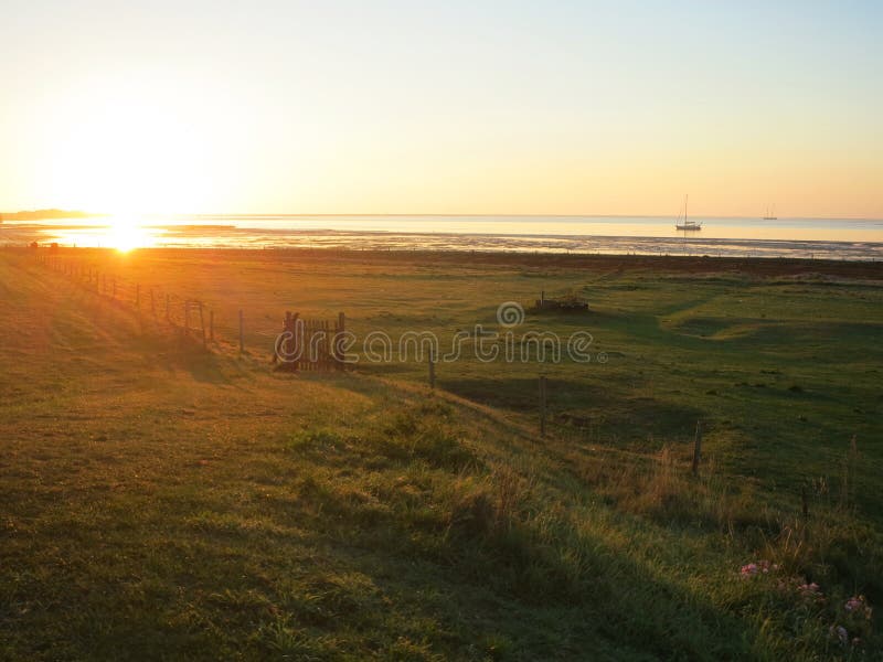 Westerveld, Vlieland (Nederland / Netherlands) Stock Image - Image of ...