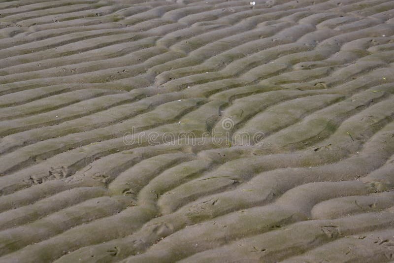 Wet Abstract Sand Pattern for Background Stock Photo - Image of ripple ...