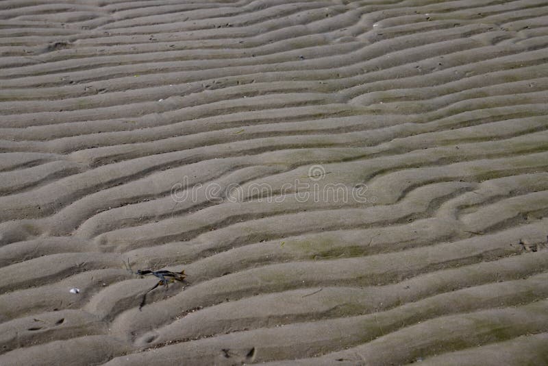 Wet Abstract Sand Pattern for Background Stock Photo - Image of rough ...