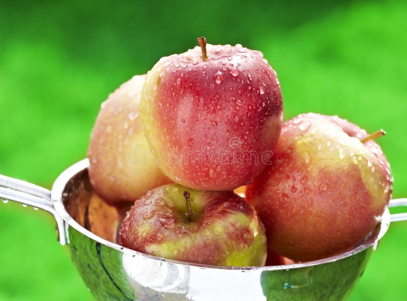 Wet apple stock photo. Image of water, green, food, organic - 21547806