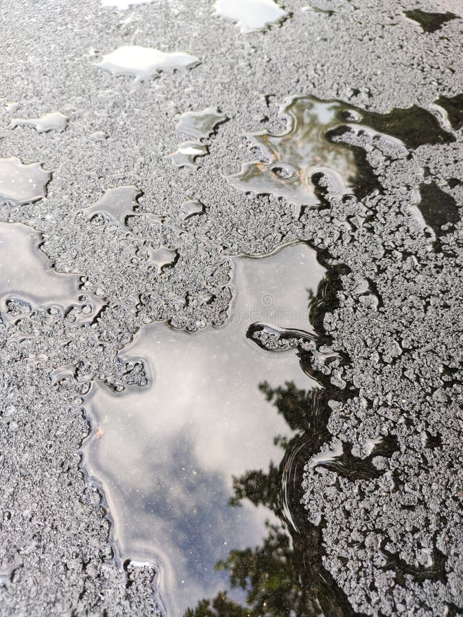 Wet asfalt stock image. Image of bitumen, road, rain - 231079349
