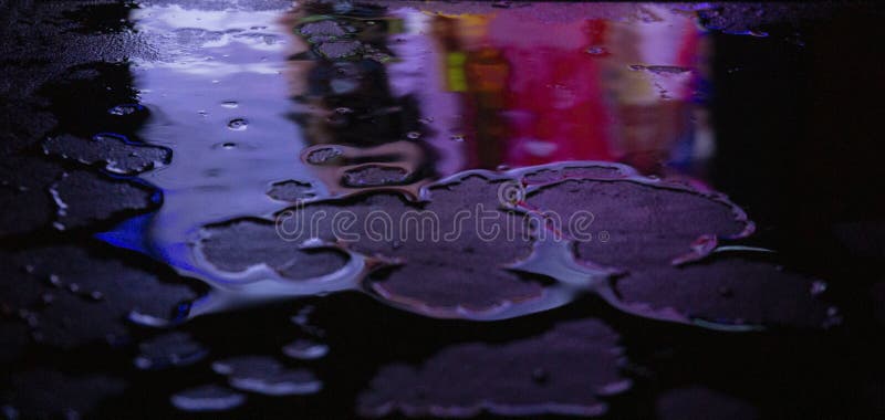 Wet Asphalt, Night Scene of an Empty Street with a Little Reflection in ... Wet Asphalt, Night Scene of an Empty Street with a Little Reflection in ...