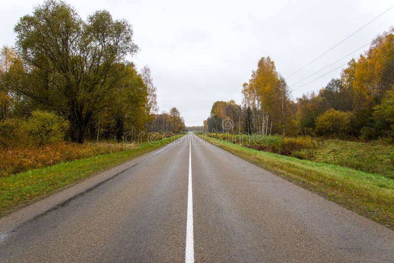 Wet Asphalt Road with Sun Reflections Stock Image - Image of ...