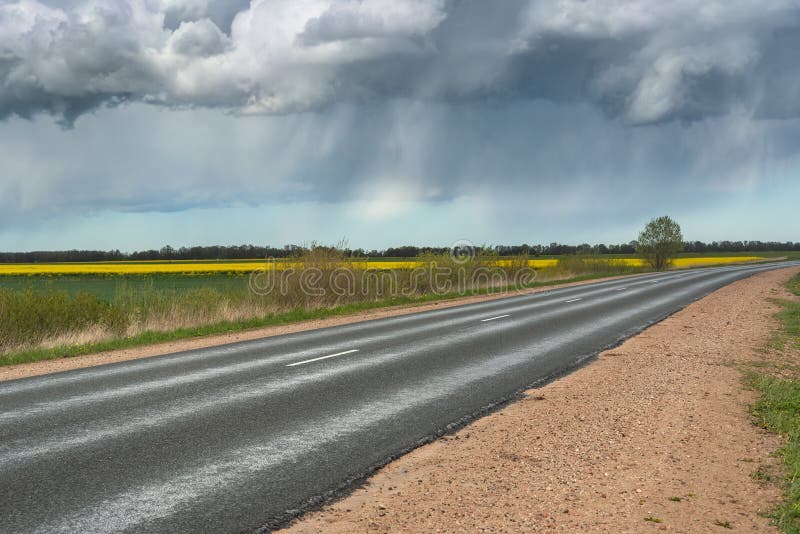 Wet asphalt road stock photo. Image of landscape, gold - 183916384