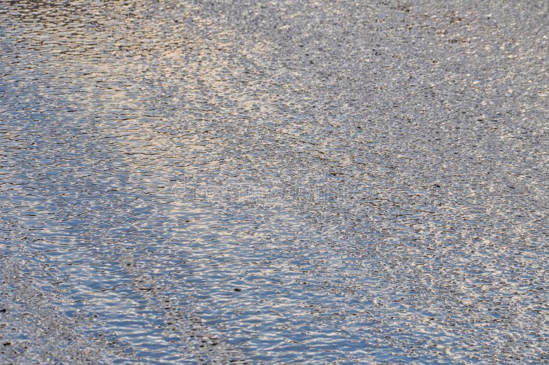 Wet asphalt texture stock photo. Image of season, weather - 83308254