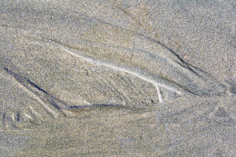 Wet Beach Patterns in Sand by Pacific Ocean Stock Photo - Image of ...