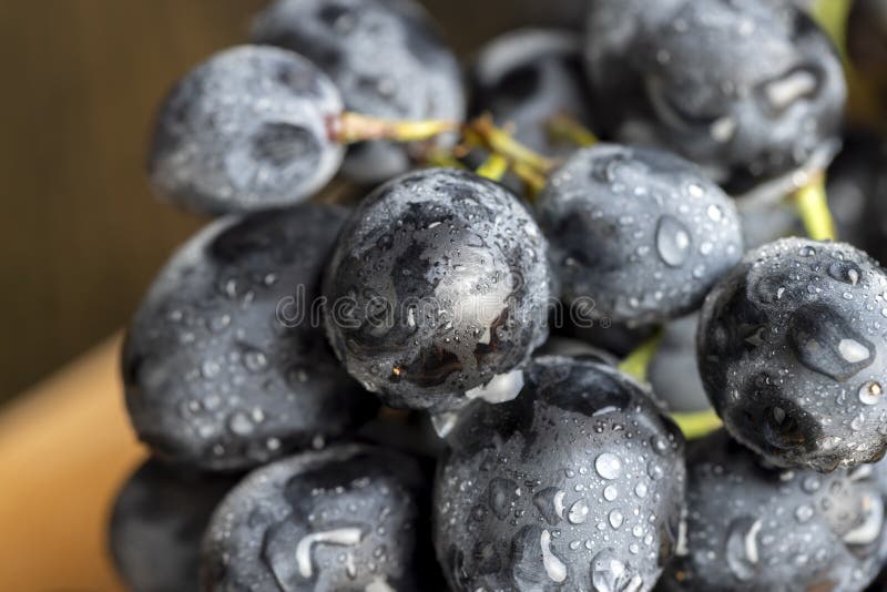 Wet Black and Blue Grapes on the Table Stock Photo - Image of vine ...