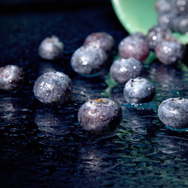 Close Up of Wet Blueberries Stock Image - Image of water, blue: 252941345