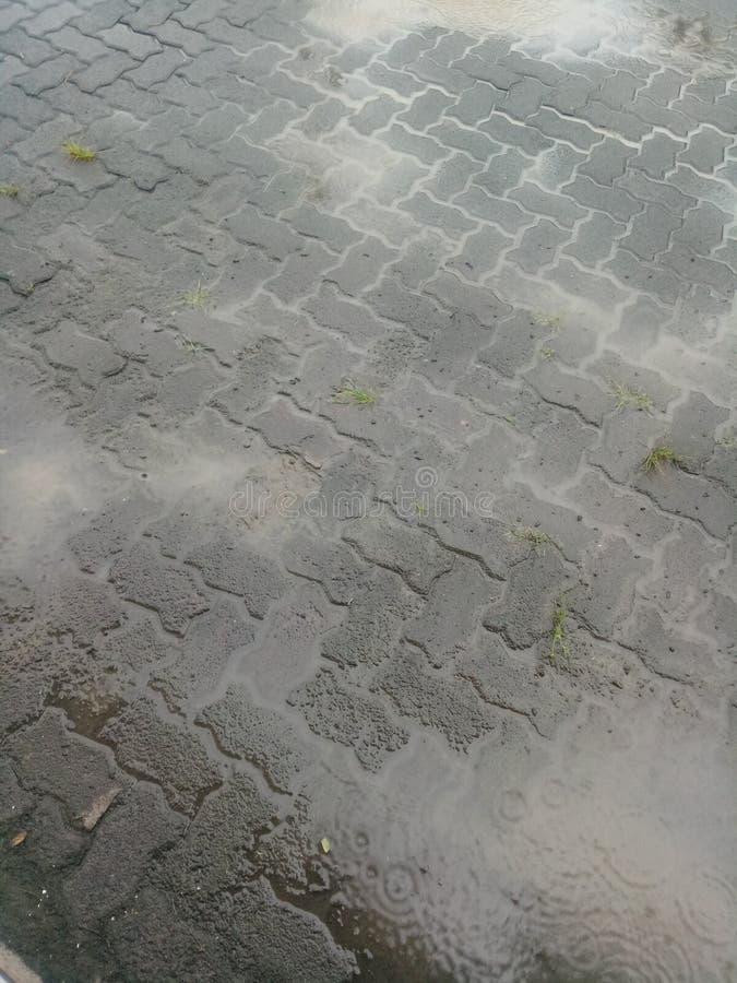 The wet brick paving road stock photo. Image of texture - 313801122