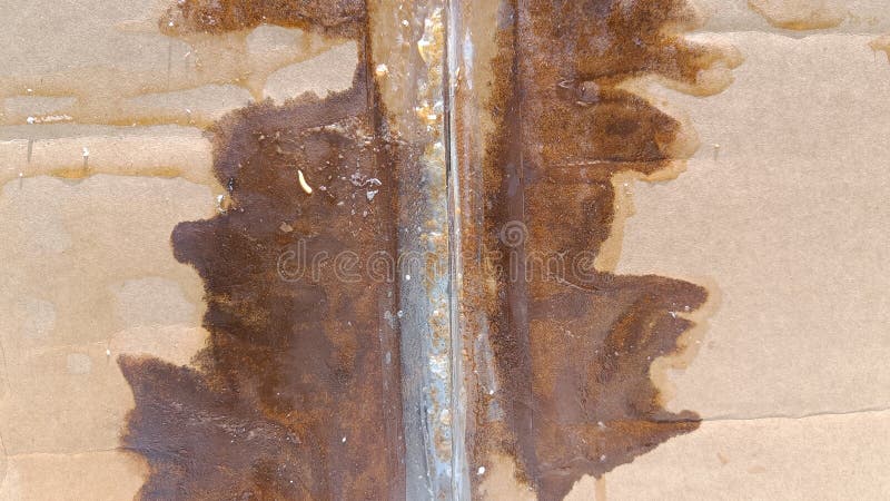 Wet Cardboard Boxes for a Long Time, the Accumulation of Germs. Causing ...