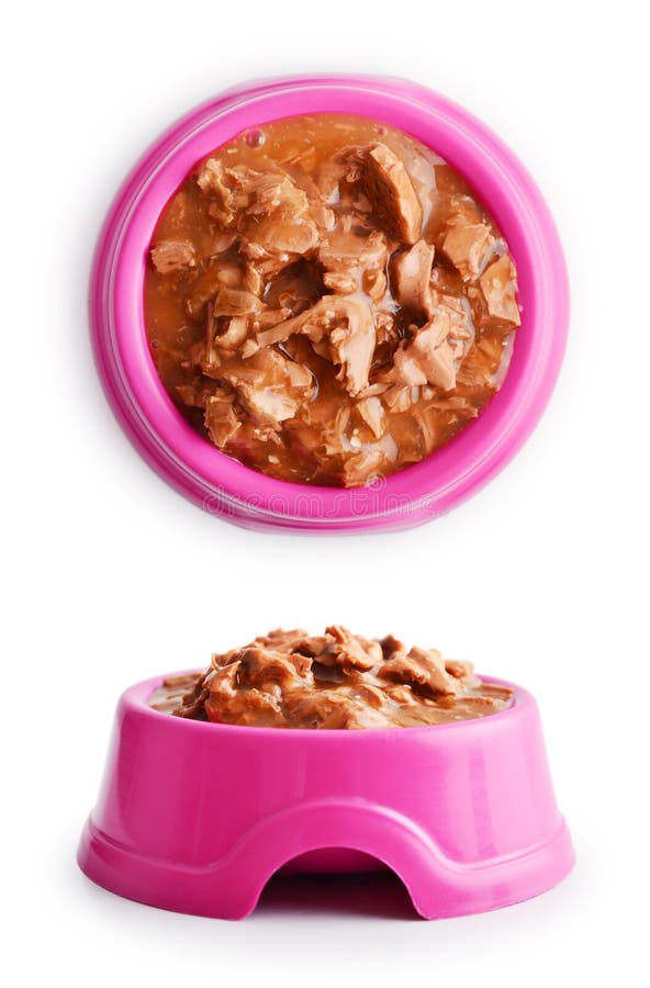 Best Wet Cat Food For Indoor Cats In 2023