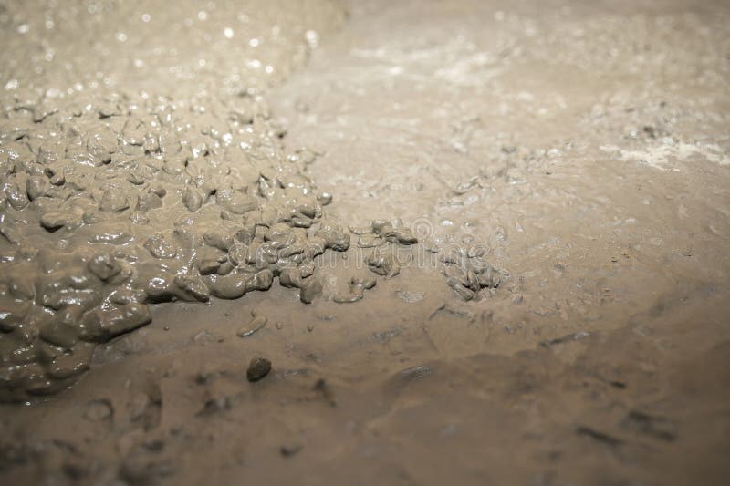 Wet Cement Spreading on a Construction Floor Surface Close-up Stock ...