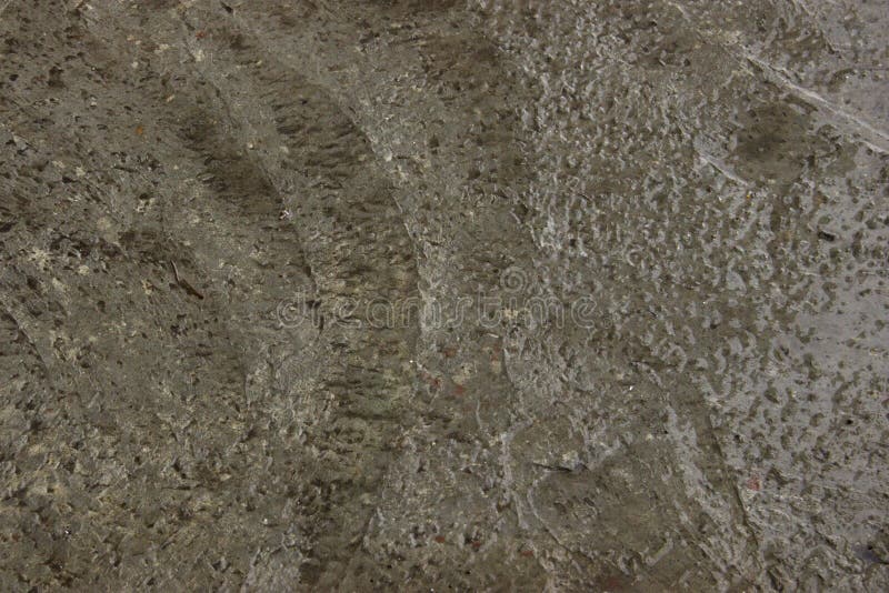 Wet Cement Texture for Background. Wet Concrete Floor Stock Image ...