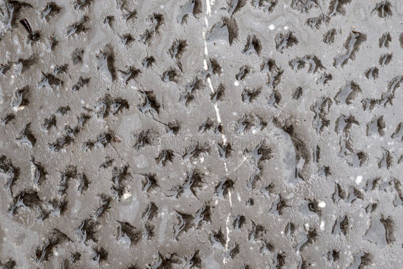 Wet Cement Wall Background with Shiny Perforated Surface Stock Photo ...