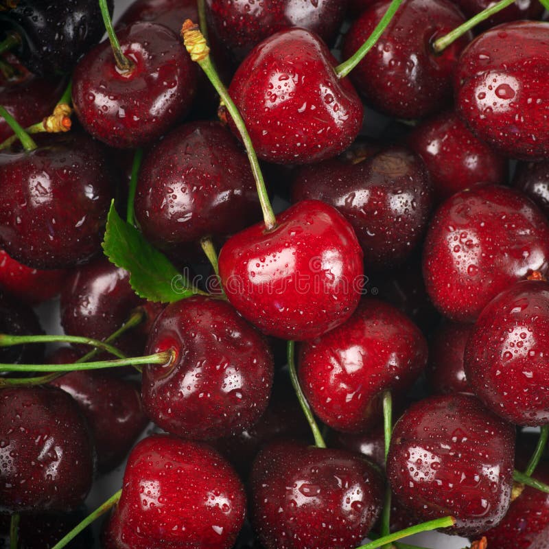 Wet cherries close-up stock image. Image of close, vegan - 47113631
