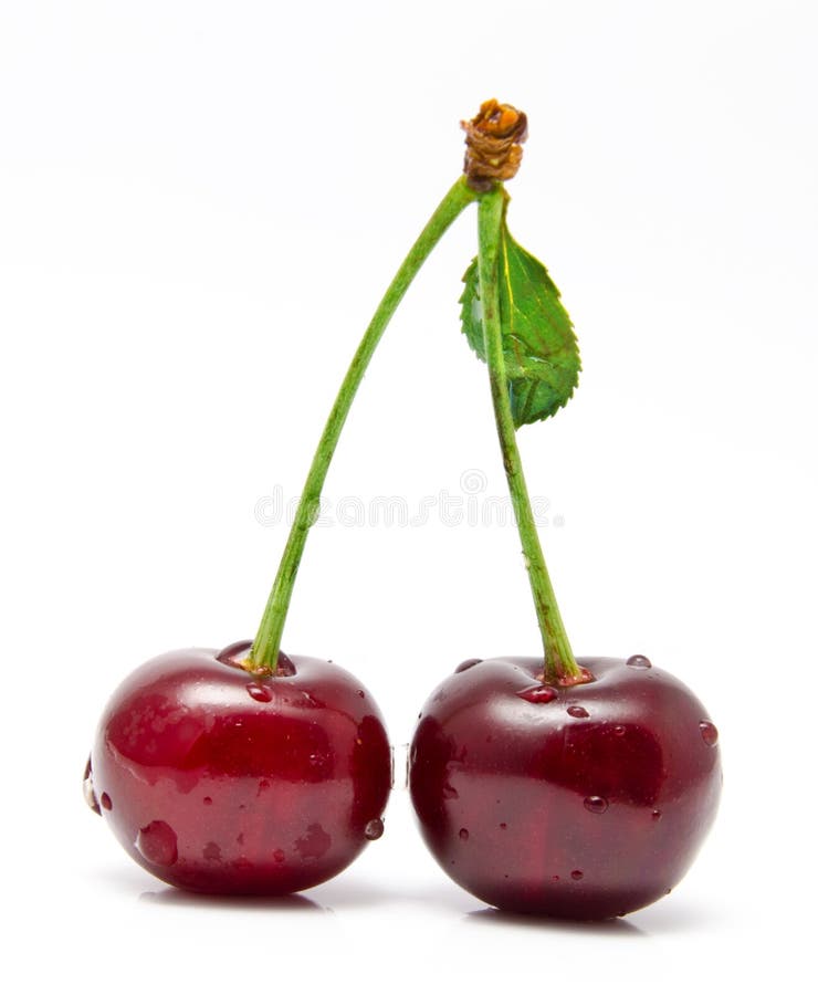Cherry pair stock photo. Image of berry, love, taste - 19849024