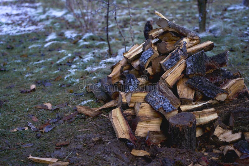 Wet Chopped Firewood on a Pile Outside in Winter Stock Image - Image of ...