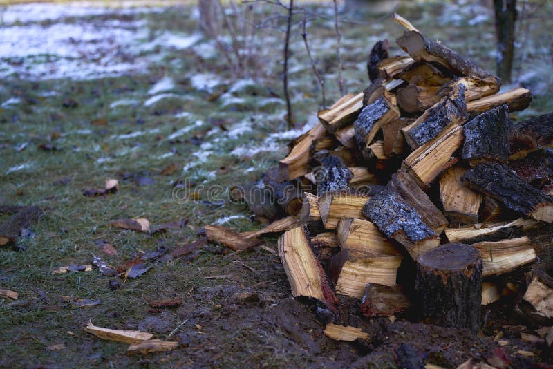 Wet Chopped Firewood on a Pile Outside in Winter Stock Photo - Image of ...