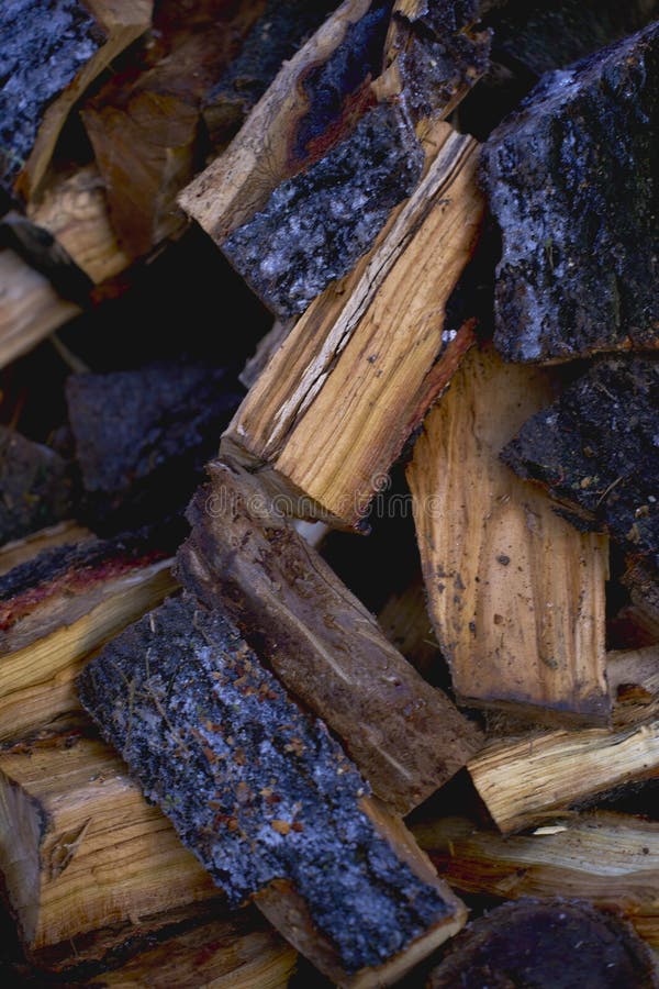 Wet Chopped Firewood on a Pile Outside in Winter Stock Image - Image of ...