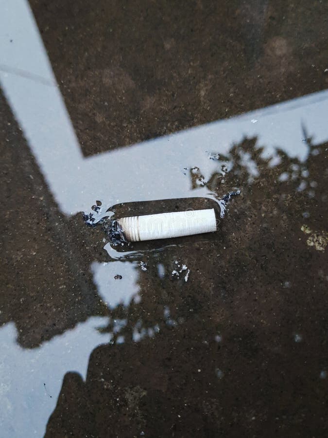 Wet cigarette in a puddle stock photo. Image of cigarette - 201154850