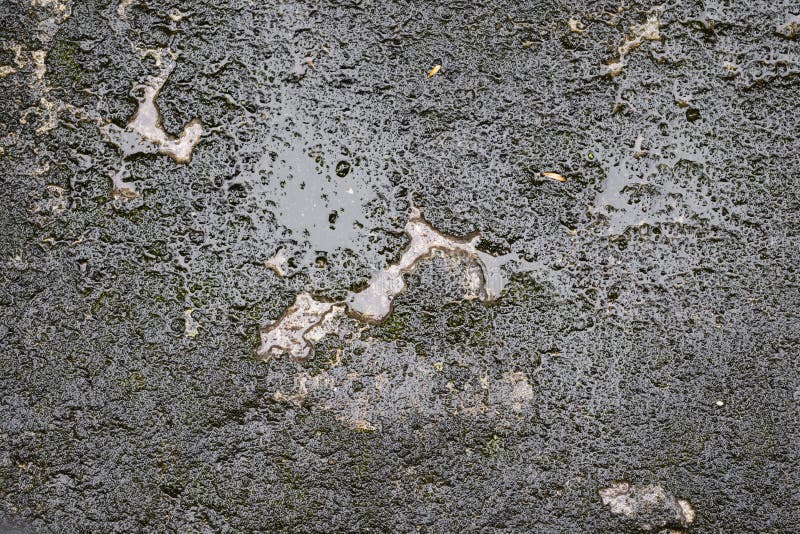 Wet Concrete Pavement with Small Puddles Texture Stock Photo - Image of ...