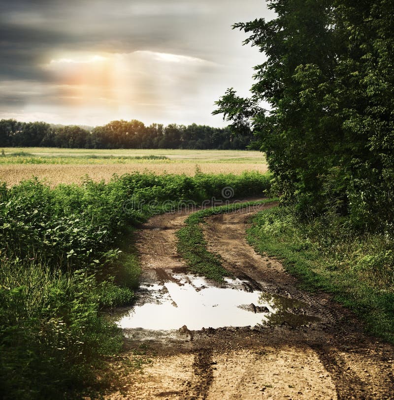 Wet Countryside Road with Dark Cloudy Sky Stock Image - Image of light ...
