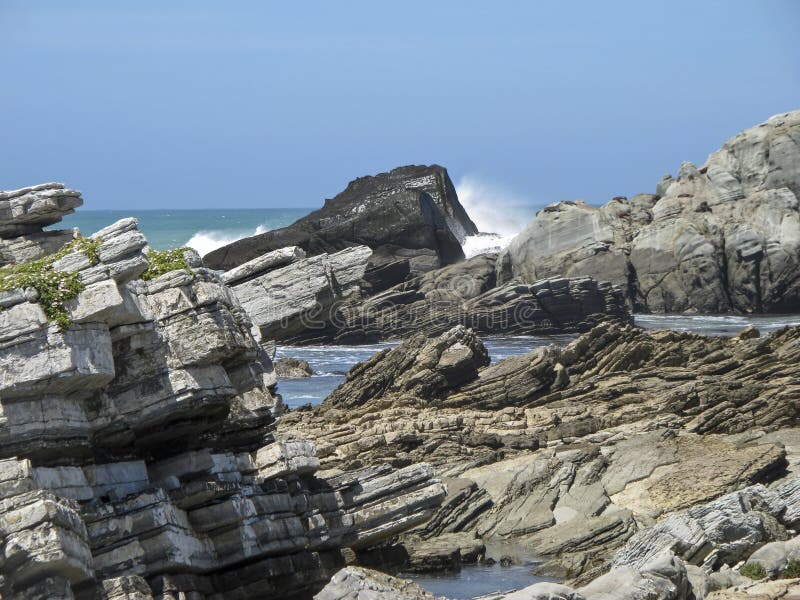 Wet Dark Rock in Middle Angular Strata Formation on Rugged Wairarapa ...