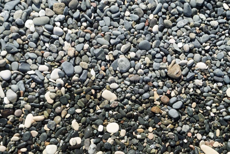 Wet and Dry Pebbles on the Beach Texture Stock Photo - Image of multi ...