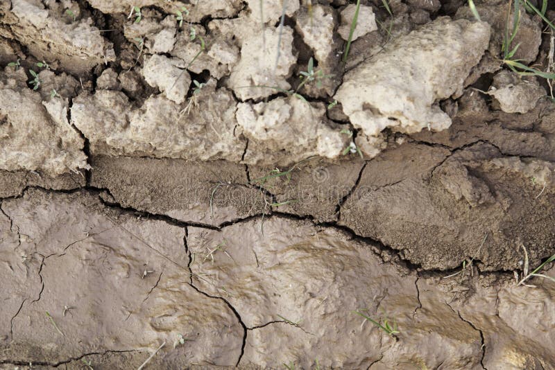 Wet earth with mud stock photo. Image of earth, brown - 89767778