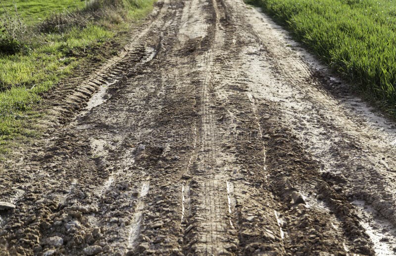 Wet earth with mud stock image. Image of gardening, humus - 89768089