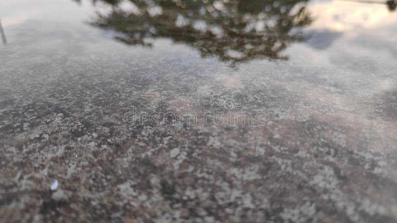 Wet floor in the rooftop stock photo. Image of floor - 210258188