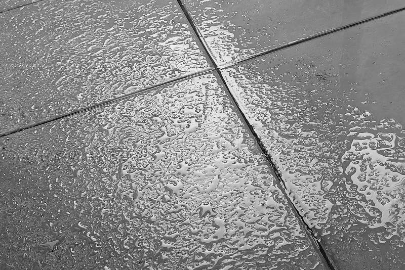 Wet Floor Tile after the Rain Stock Photo - Image of line, tile: 209978832