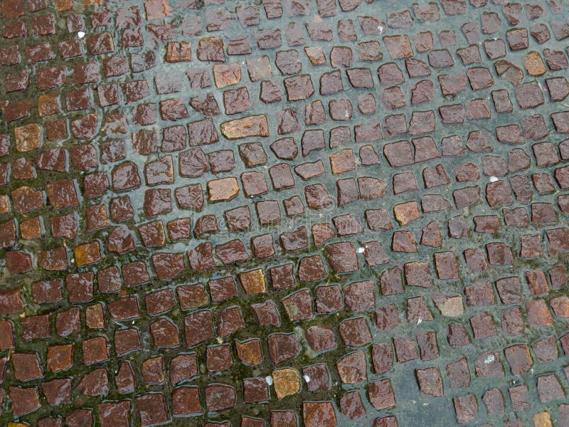 Wet Footpath Paved with Stone Paving Tiles, Fragment Top View Stock ...