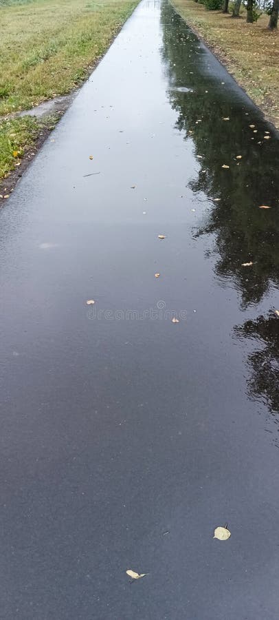 Wet footpath after rain stock photo. Image of road, path - 255902914