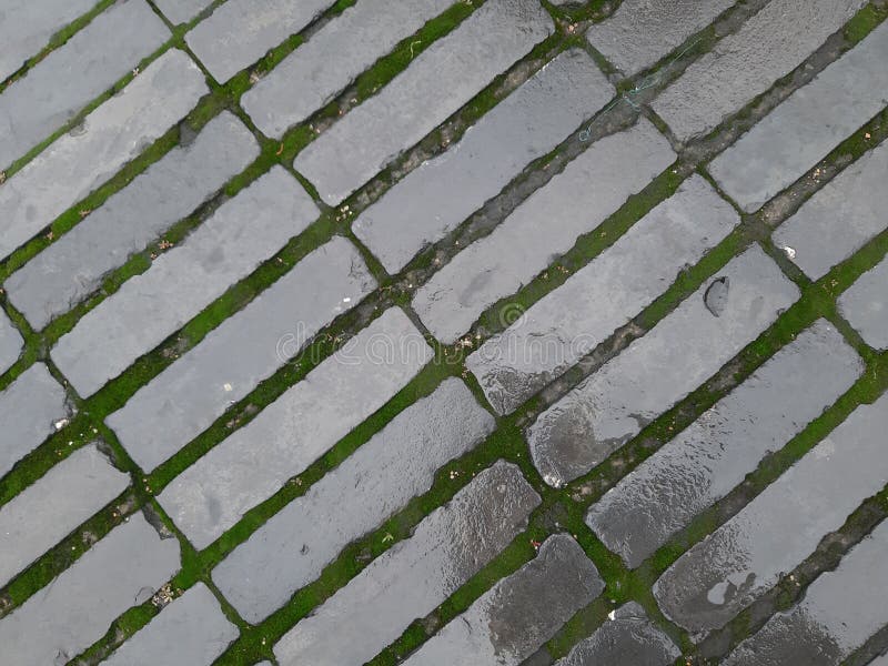 Wet Footpath after the Rain Stock Photo - Image of pattern, block ...