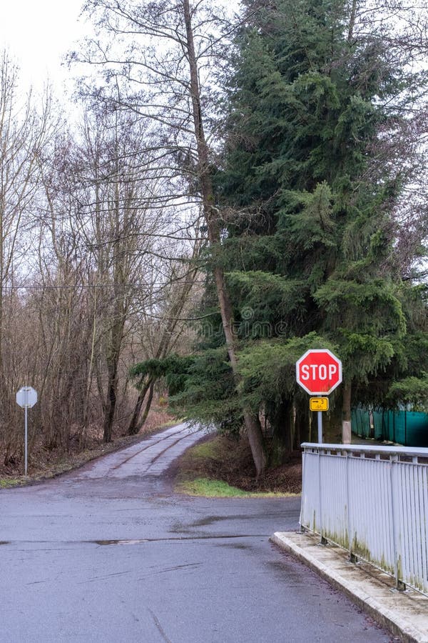 Forest Road with Stop Sign on a Rainy Day Stock Image - Image of forest ...