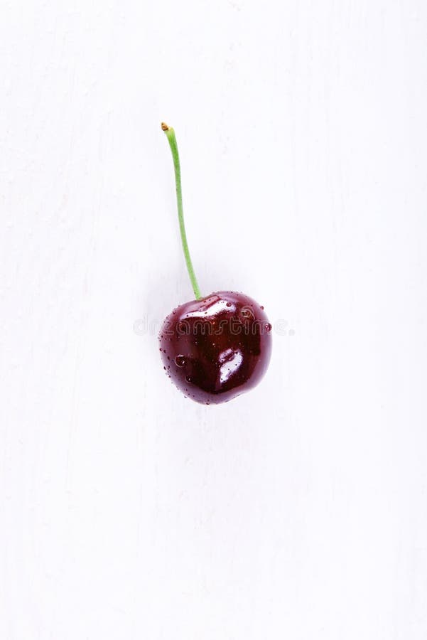 Wet Fresh Juicy Single Cherry Stock Image - Image of water, single ...