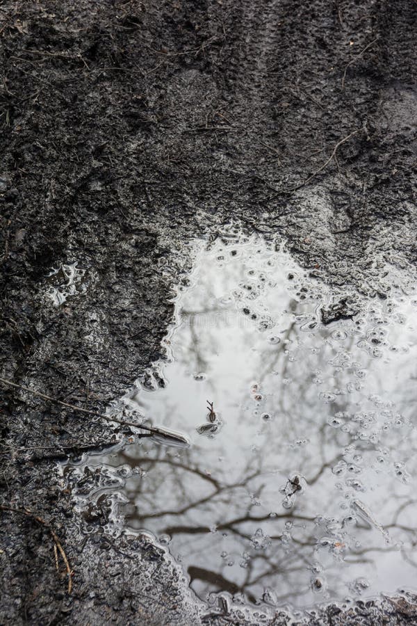 Wet ground texture stock image. Image of textured, rain - 69553967