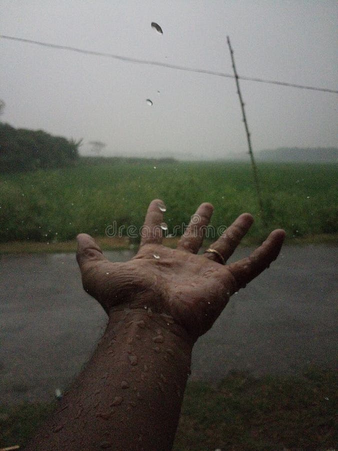 Wet hand stock photo. Image of water, hands, rain, hand - 272536716