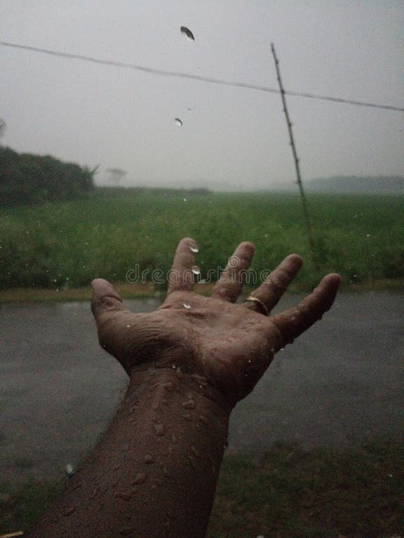 Wet hand stock photo. Image of water, hands, rain, hand - 272536716