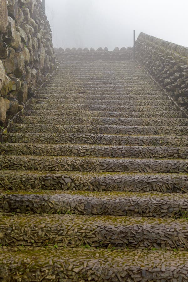 Wet Ladder in the Fog on the Island of Madeira Stock Photo - Image of ...