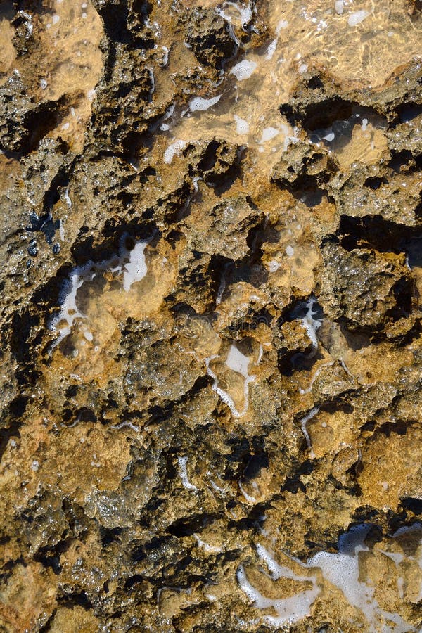 Limestone Background Close Up. Stock Image - Image of geology, surface ...