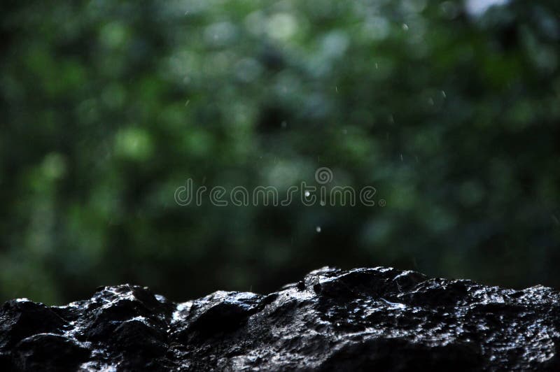Wet Limestone Rock and Blurry Forest Background in a Rainy Day Stock ...