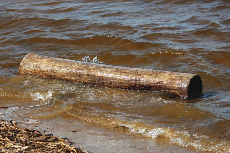 A Wet Log in the Water at the Shore Stock Image - Image of material ...