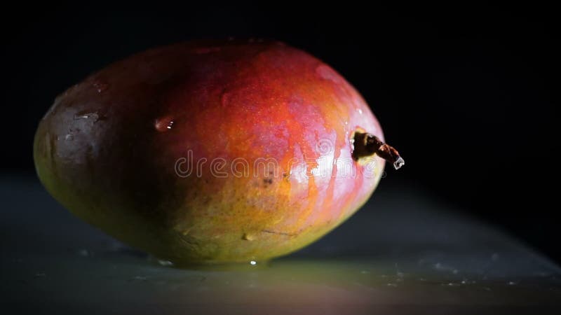 Wet Mango with Water Dripping on it Stock Video - Video of droplet ...