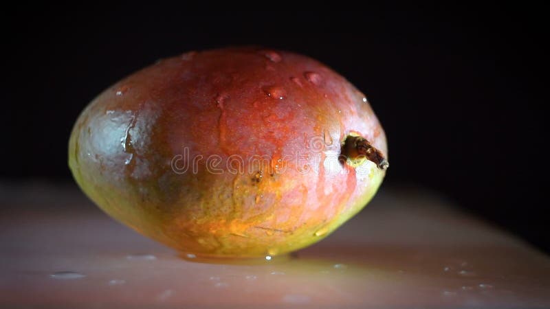 Wet Mango with Water Dripping on it Stock Video - Video of droplet ...