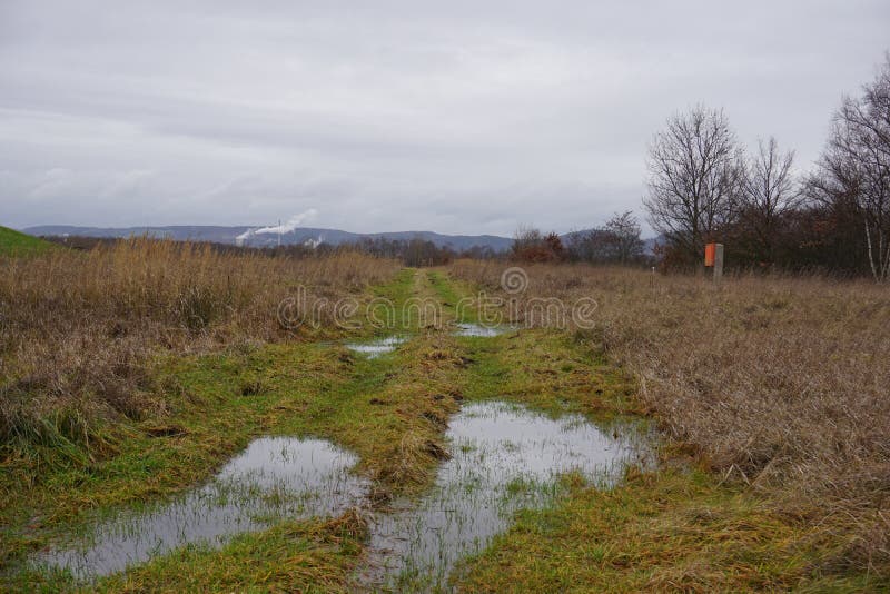 Wet meadow path in Czechia stock image. Image of river - 267348463