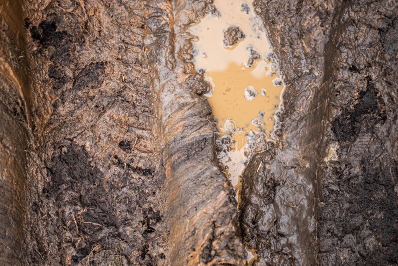 Wet Messy Mud with Truck Line Textured Background. Rainy Spring Days ...
