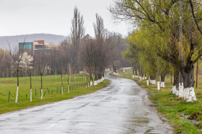 Rainy Spring Day in Giurgiu City, Romania Stock Image - Image of spring ...